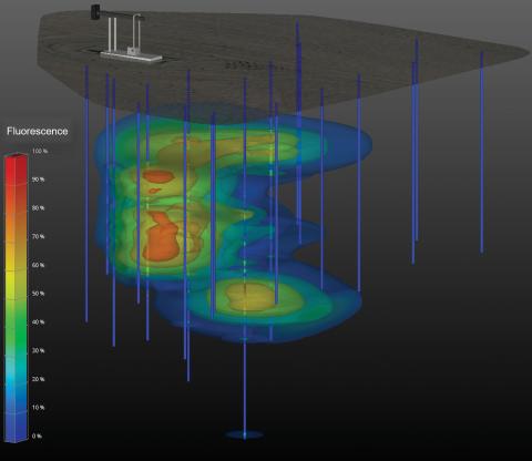 Diving into Optical Profiling | Geoprobe® Optical Imaging